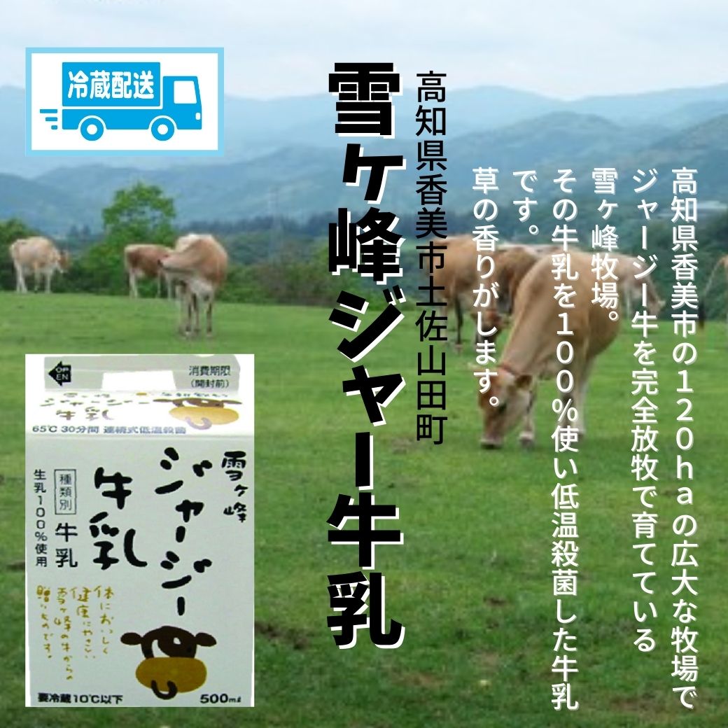 雪ヶ峰ジャージー牛乳（500ml×1本） – TABEGORO 土佐山田ショッピングセンター