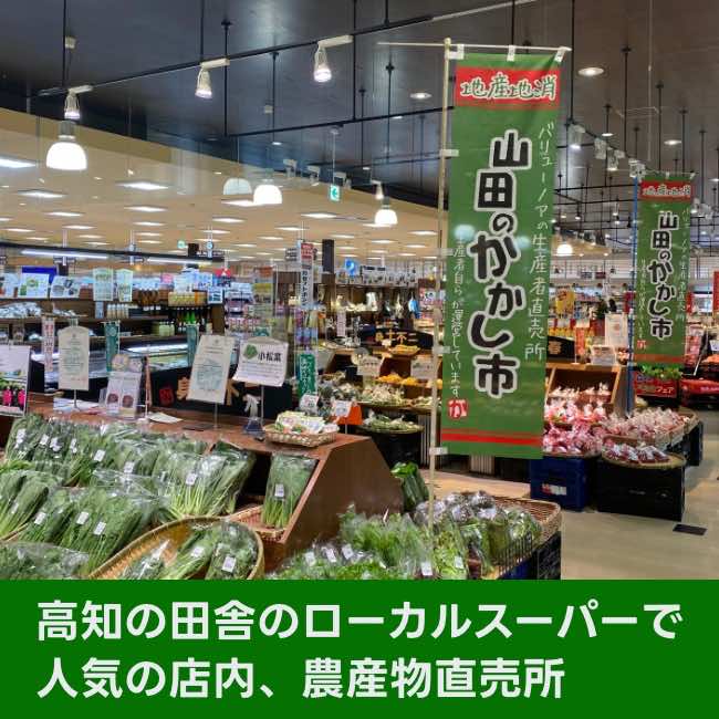 高知の野菜セット（M）単月 – TABEGORO 土佐山田ショッピングセンター